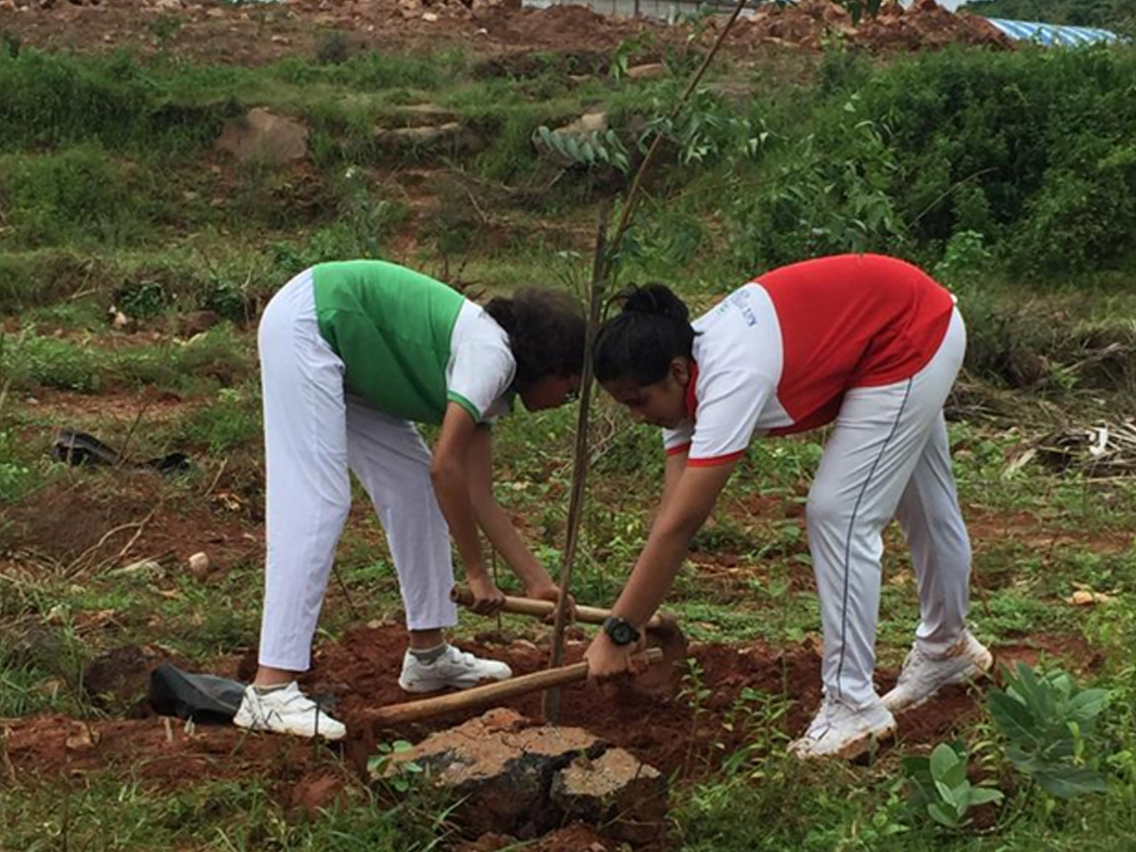 KiiT International School IBDP CAS Experience beyond the Classroom ...